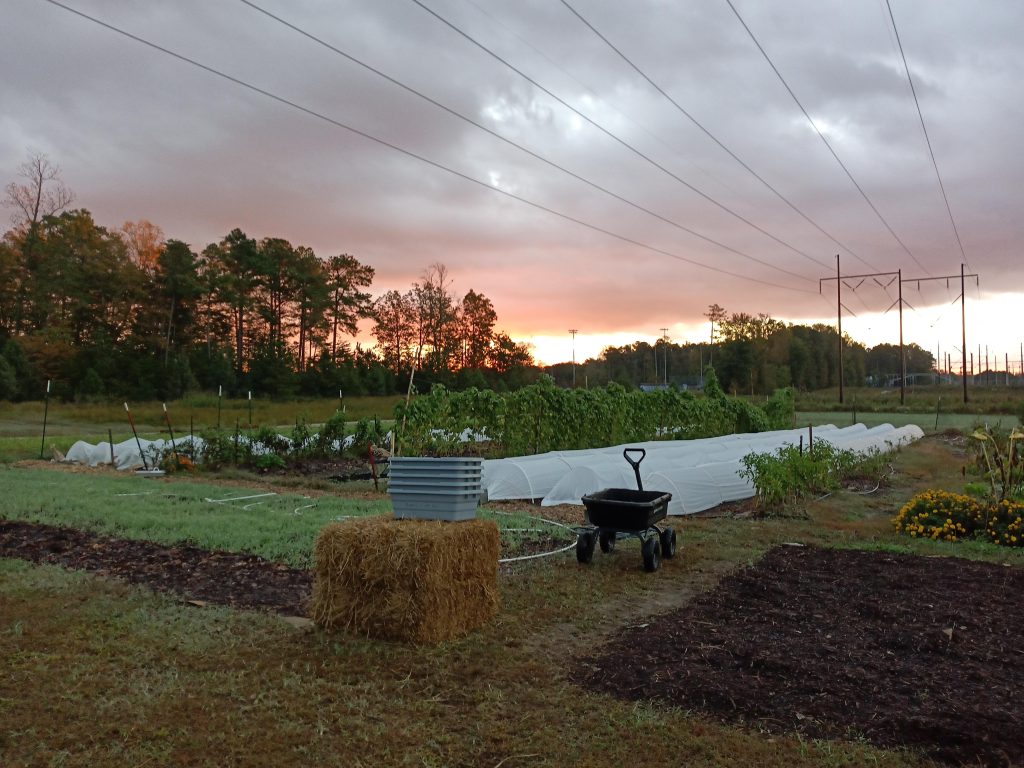 Williamsburg Community Growers - Volunteer on the Farm! - Williamsburg ...
